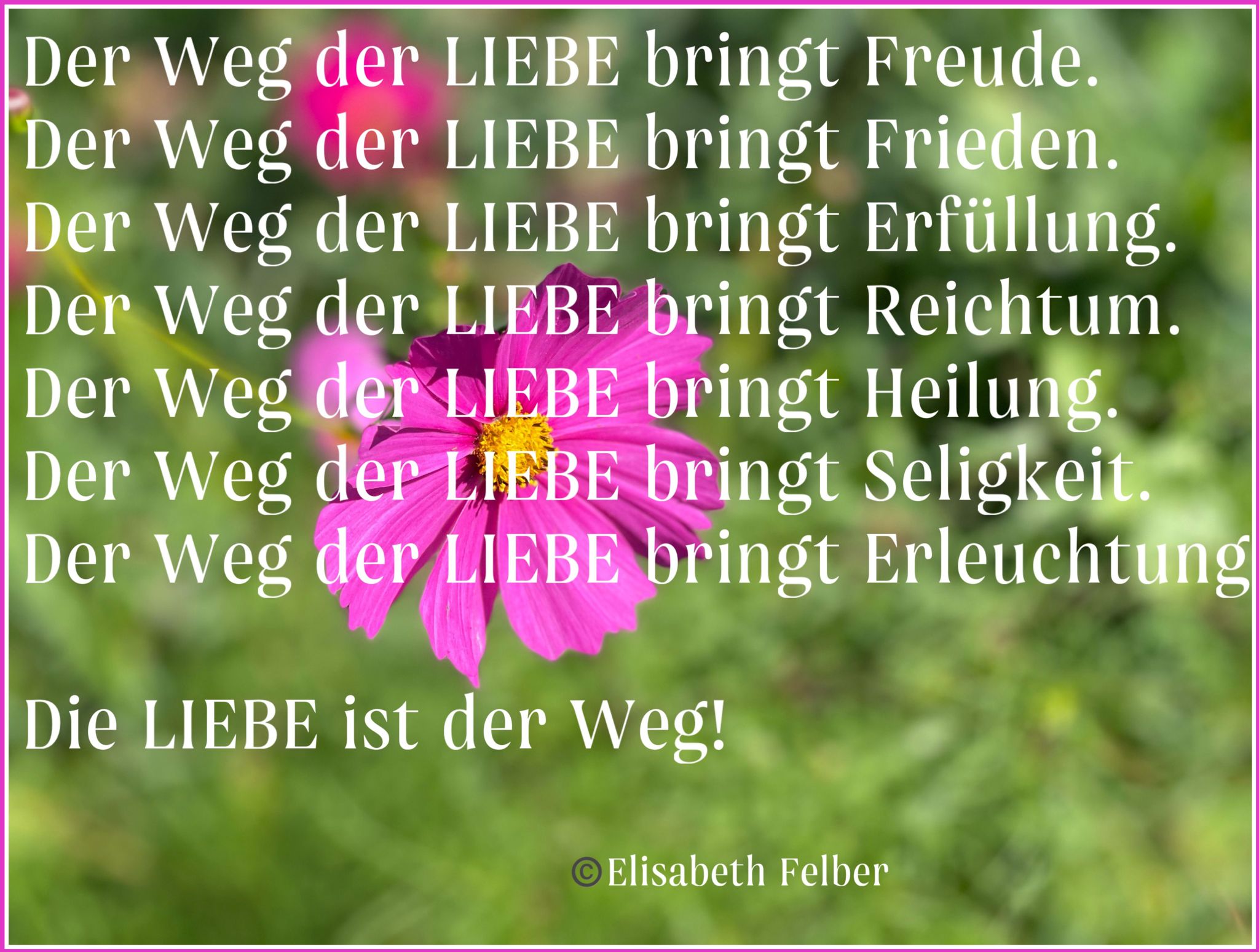 Aus Liebe entsteht Weisheit ・ AstroPointer